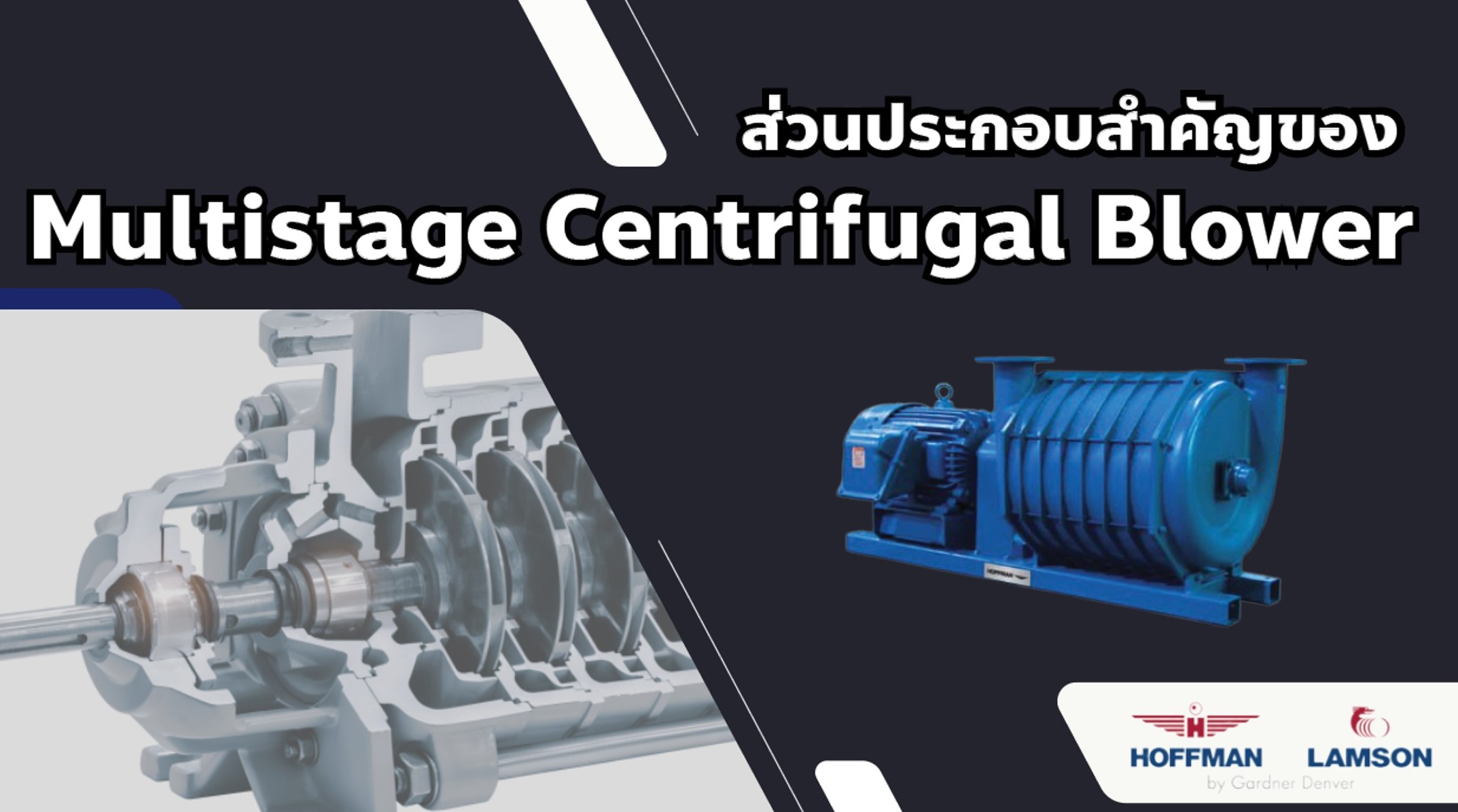 CBD และ THC ในต้นกัญชากัญชงคืออะไร เหมือนหรือต่างกันอย่างไร - PTS Process Technology